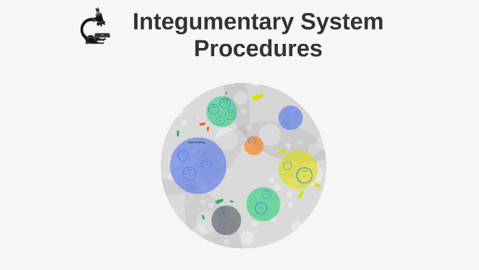 Integumentary System Procedures by phillip Mui on Prezi