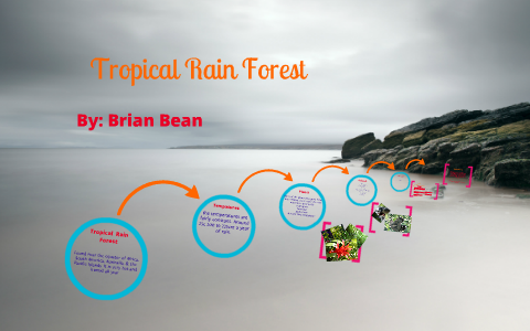 Biome Brochure: Tropical Rain Forest by Brian Bean on Prezi