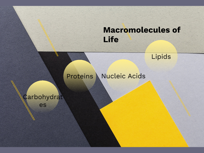 Marcomolecules by Andrew Wolak on Prezi