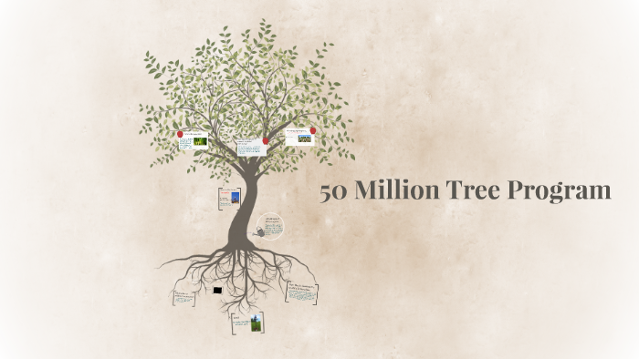 50 Million Tree Program by Nicole Gilliland on Prezi