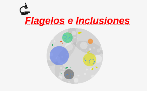 Flagelos e Inclusiones by Maria Fernanda Alejandre Bustmante on Prezi
