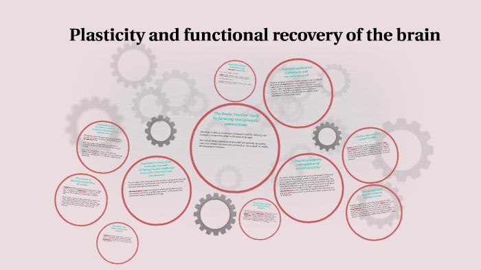 Plasticity and functional recovery of the brain by Imogen Stewart