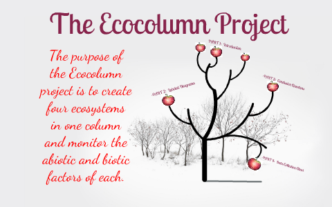 Ecocolumn Project by Brad Pocklington on Prezi