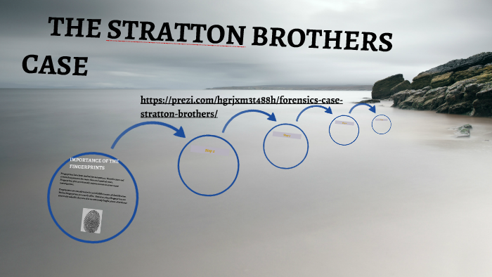 THE STRATTON BROTHERS CASE by rohan singh on Prezi