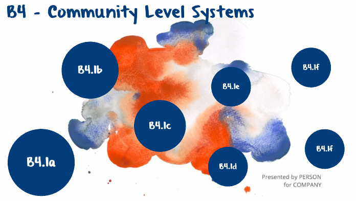 B4 - Community Level Systems by T M on Prezi