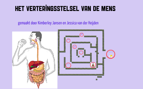 verteringsstelsel van de mens by kimberley jansen on Prezi