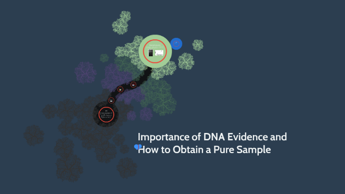 Importance of DNA Evidence and How to Obtain a Pure Sample by Abby ...