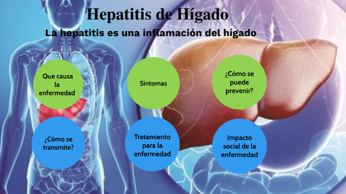 Enfermedades Infecciosas (Hepatitis de Hígado) by toni juarez lopez on ...