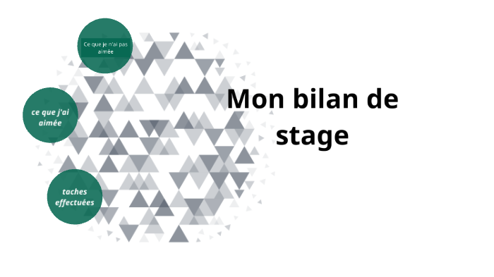 bilan de stage by Lisa Guechout on Prezi