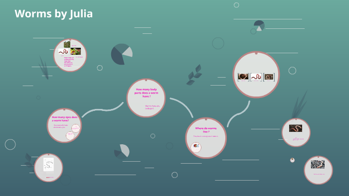 worms by Julia by Mandy Verco on Prezi