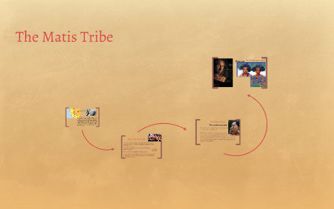 The Matis Tribe by samantha poor on Prezi