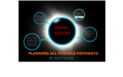 Planning All Possible Pathways by Kristyn Ing