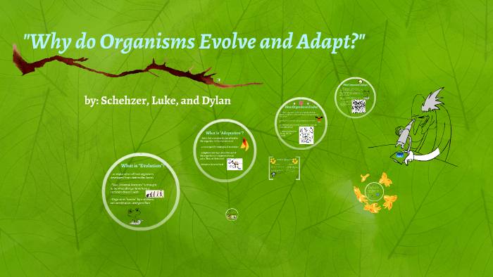 "Why do Organisms Evolve and Adapt?" by luke leon on Prezi