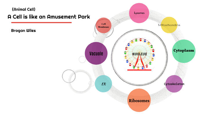 A Cell Is Like a Amusement Park Project by Brogan Wiles (Student) on Prezi