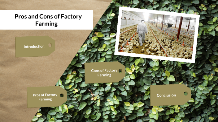 Pros and Cons of Factory Farming by Maggie Welch on Prezi