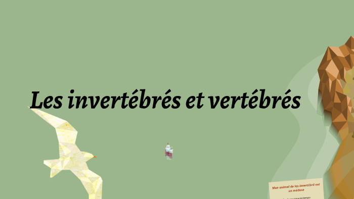 invertebres et vertebres by on Prezi
