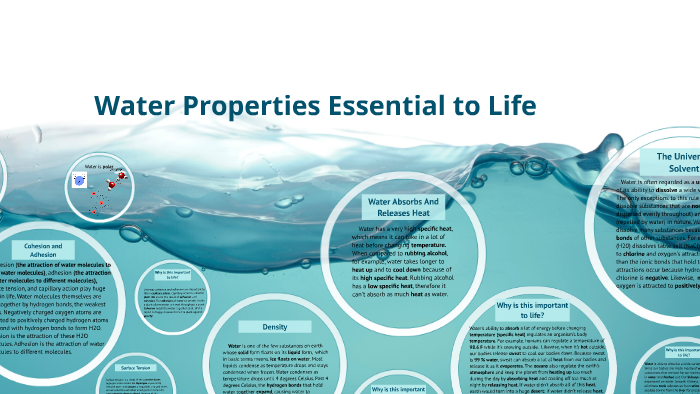 Water properties essential to life by Patricia Wilkins on Prezi