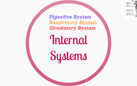 Internal Systems Concept Map by Jasdeep Aujla on Prezi