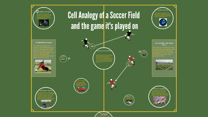 Cell Analogy=Soccer by Faith Ngibuini on Prezi