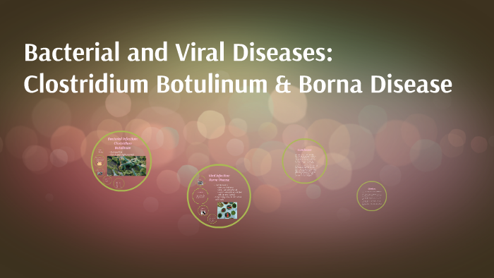 Bacterial and Viral Disease Project by Brianna Garza on Prezi