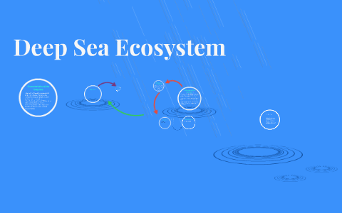 Deep Sea Ecosystem by on Prezi