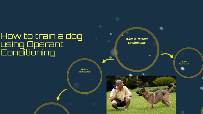 How to train a dog using Operant Conditioning by Qasim Green on Prezi