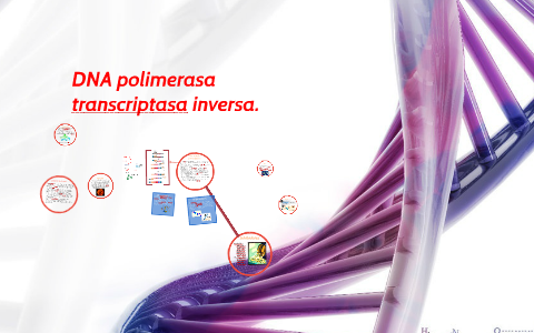 DNA polimerasa transcriptasa inversa. by Frida Vazquez on Prezi