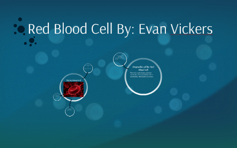 Red Blood Cell by Evan Vickers on Prezi