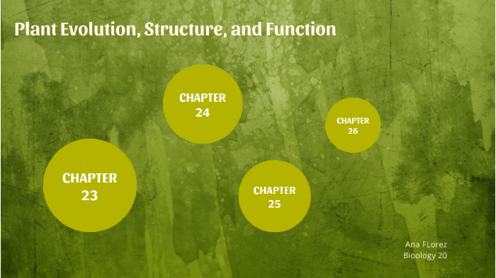 Plant Evolution, Structure, and Function by ana florez on Prezi