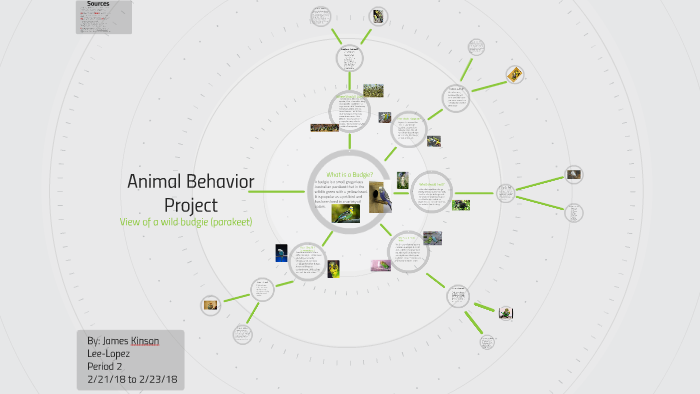 animal-behavior-project-by-james-kinson-on-prezi-next