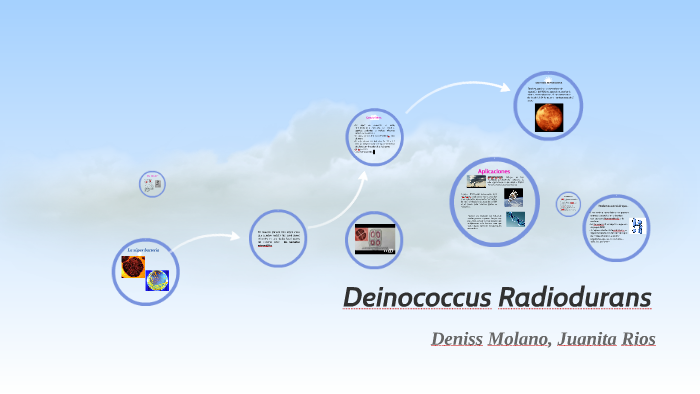 Deinococcus Radiodurans by Deniss Molano on Prezi