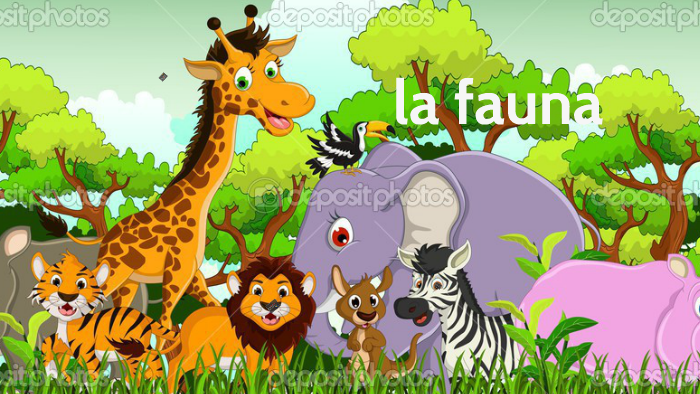 ¿Que es la fauna? by Juan Camilo Muriel Albadan on Prezi