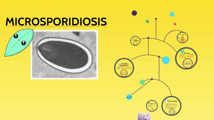 MICROSPORIDIOSIS by Ariana Arias on Prezi