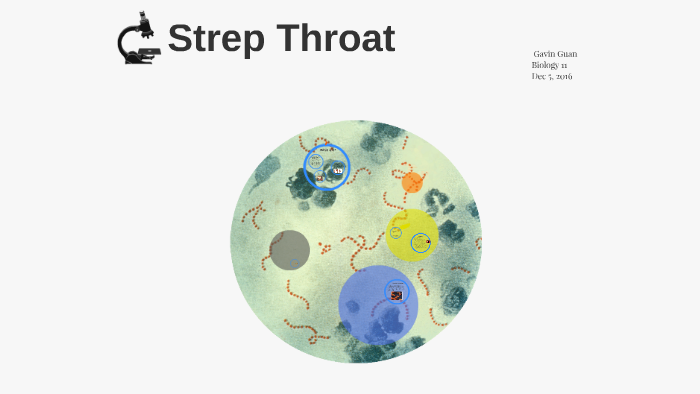 Strepp by Gavin Guan on Prezi