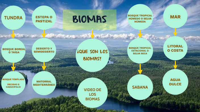 LOS BIOMAS by Maritza Cárdenas García on Prezi