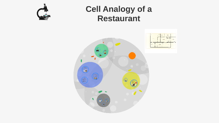 Cell Analogy to a restaurant by Lalizzy on Prezi