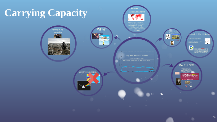 Carrying Capacity by brian tynan on Prezi