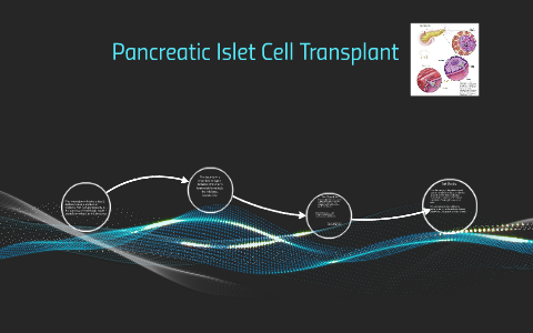 Pancreatic Islet Cell Transplant by Emmi S on Prezi