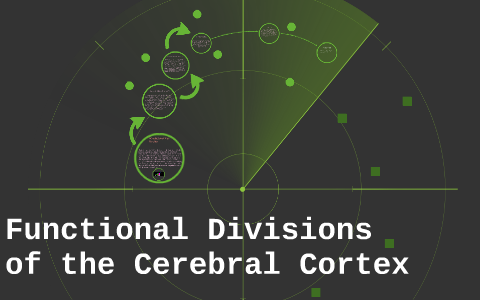 Functional Divisions of the Cerebral Cortex by david tyrrell on Prezi
