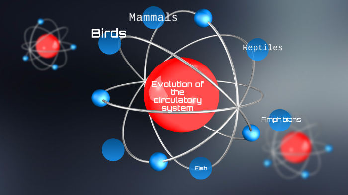 Evolution of Circulatory System by Andrew Diamond on Prezi