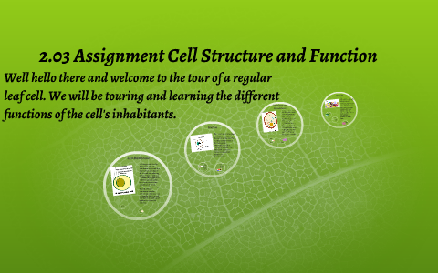 2.03 Assignment Cell Structure and Function by Emily Dickerson on Prezi