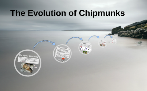 The Evolution of Chipmunks by Nathan Gidley on Prezi
