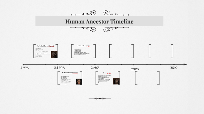 Human Ancestor Timeline by Brandon Przybilla on Prezi