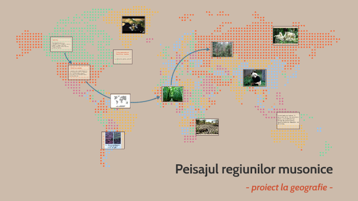 Peisajul regiunilor musonice by Teodora Dumitrescu on Prezi
