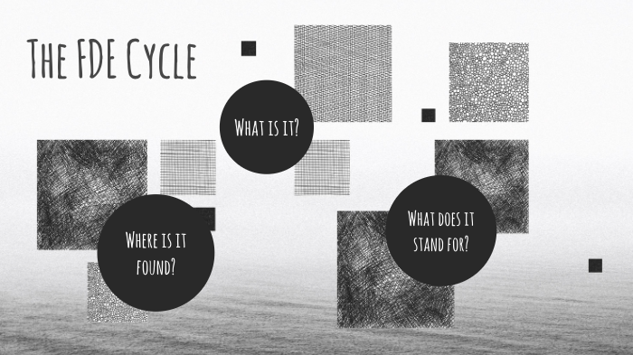The FDE Cycle by Abi Curtis on Prezi
