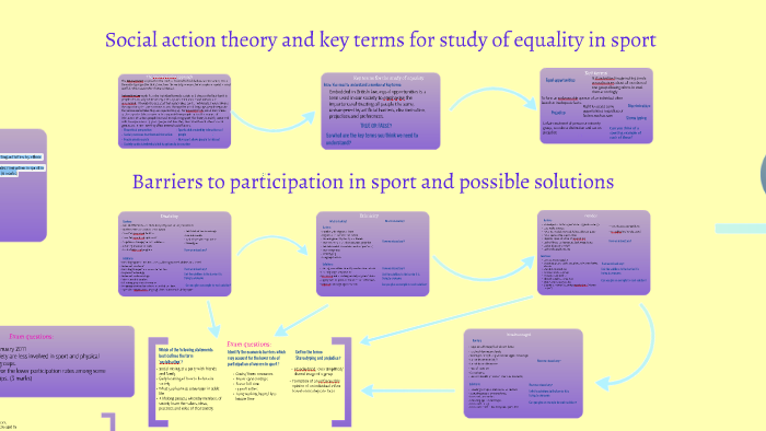 Social Action Theory By Allie Tanti