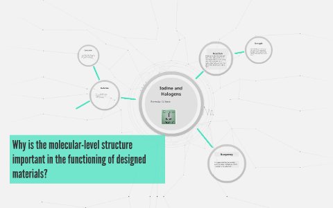 Why is the molecular-level structure important in the functi by Carter ...
