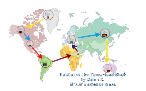 Habitat of the Three-toed Sloth by polie klassen on Prezi