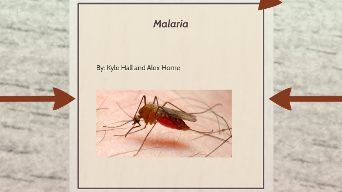 Malaria by George Geef on Prezi