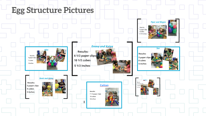 Egg Structure Pictures by ashley stoltz on Prezi